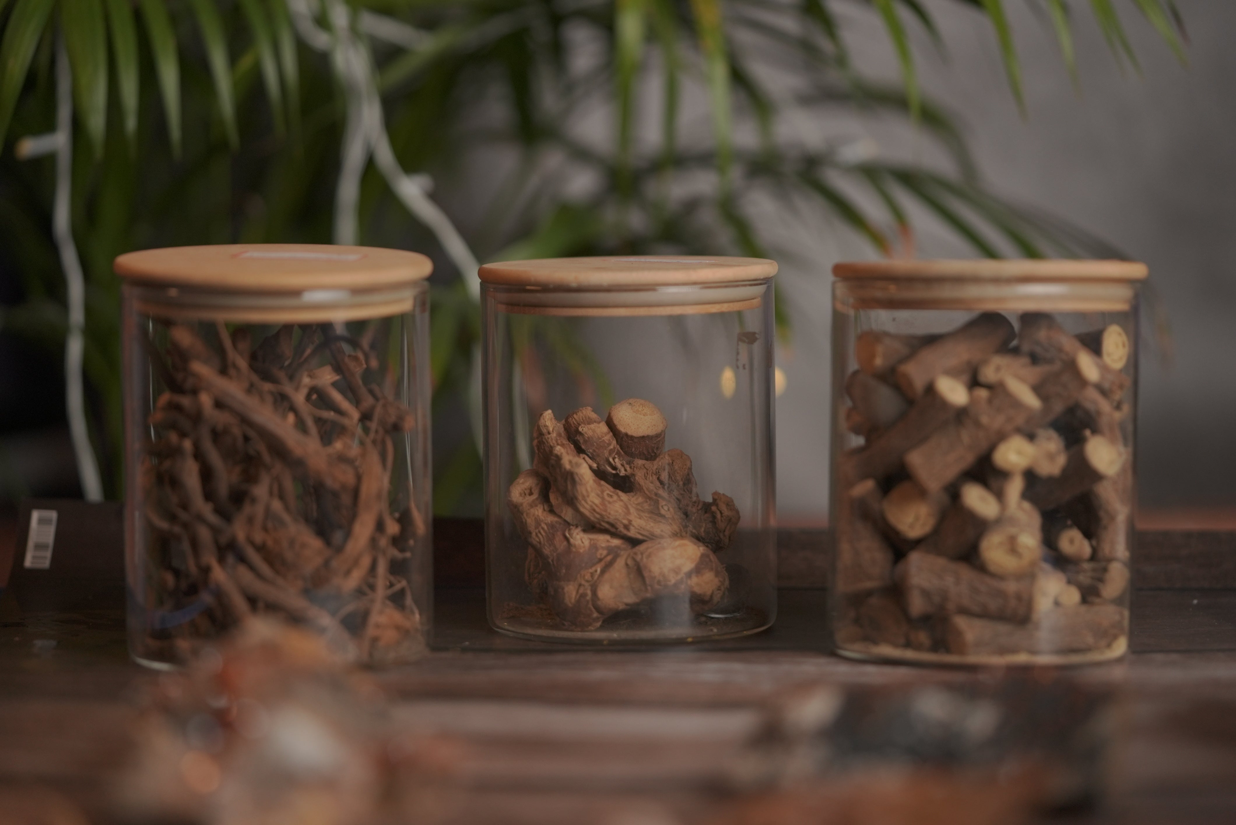 Witch Way Out -Wicca/Wiccan/Witchcraft online shop and supplies India ...